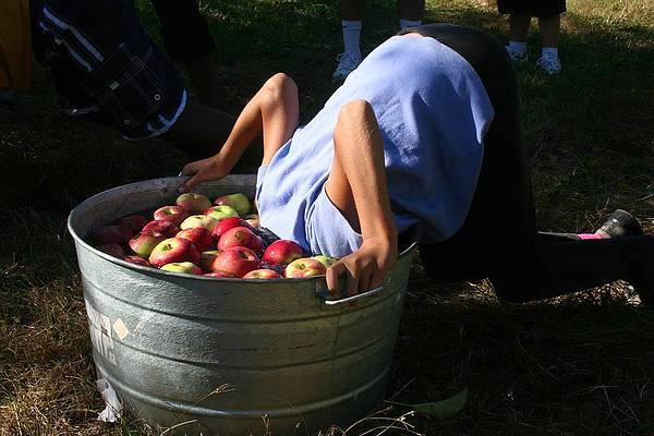 Throwback Thursdays – Bobbing for Apples – Halloween Horror Haiku