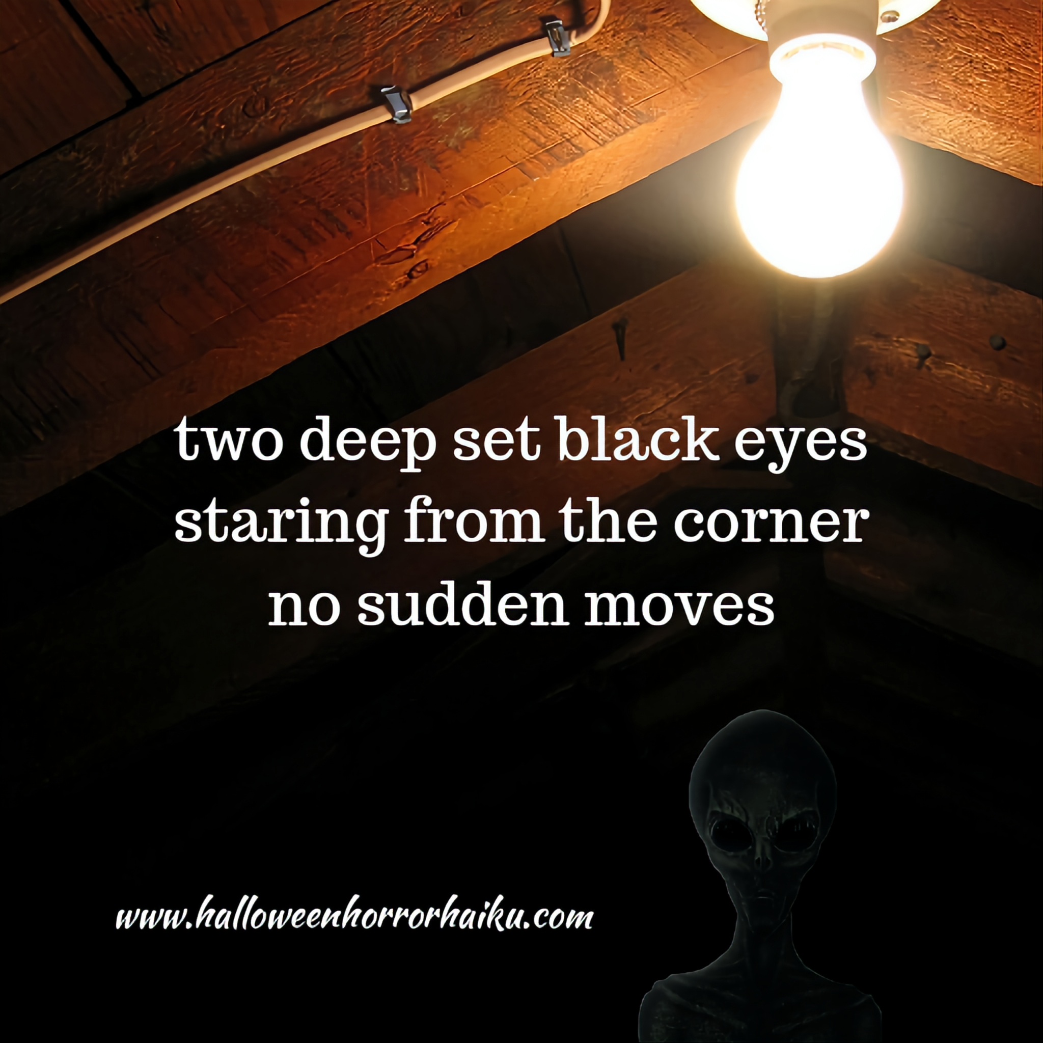 Monthly Haiku Corner – September – Halloween Horror Haiku