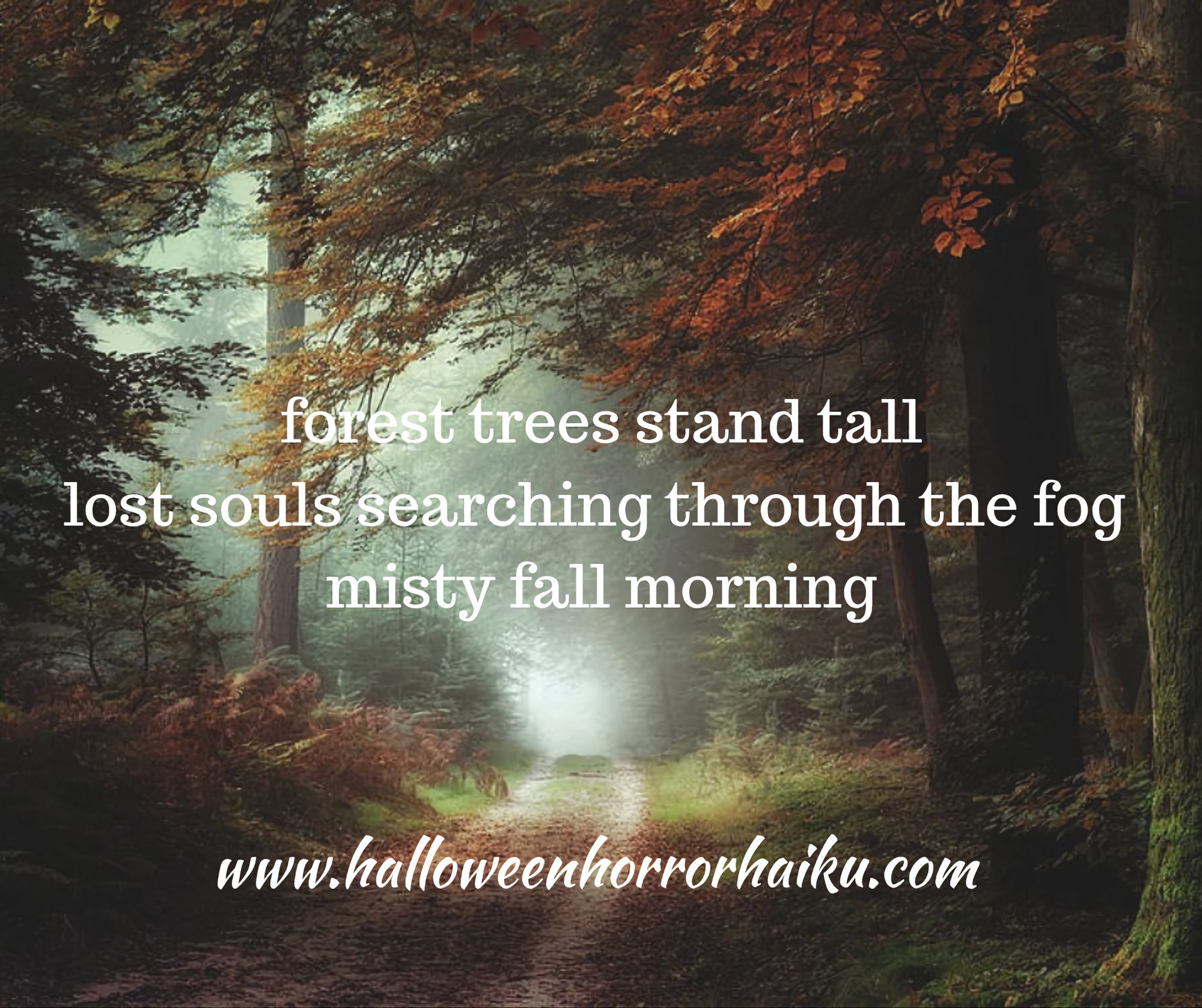 Monthly Haiku Corner – November – Halloween Horror Haiku